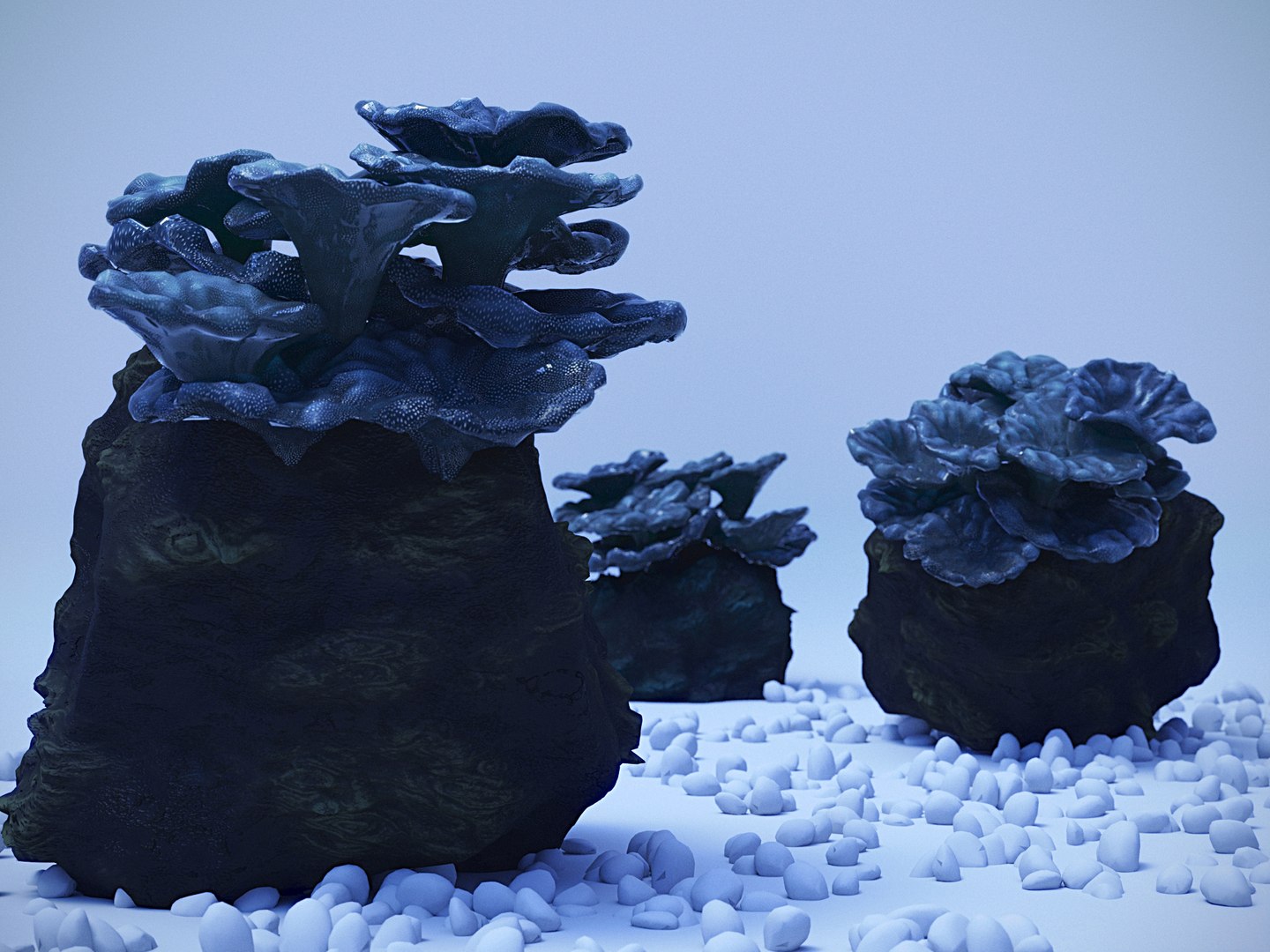 Coral Polyps 3D - TurboSquid 1562854