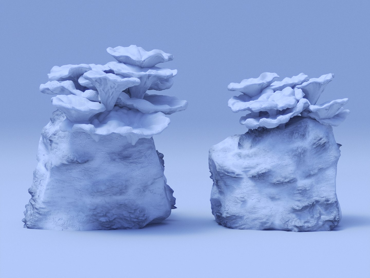 Coral Polyps 3D - TurboSquid 1562854