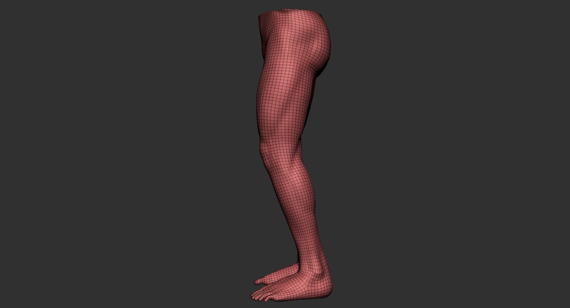 Human Muscular Lower Body Model - TurboSquid 1440070