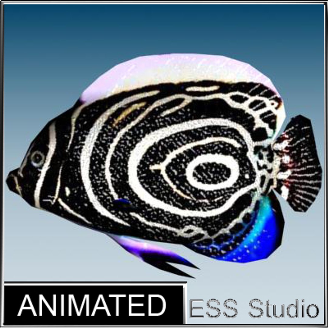 3ds max tropical fish