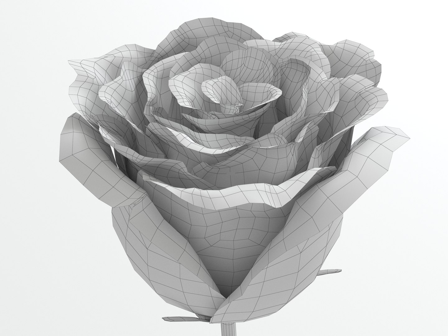 Yellow Rose 3D Model - TurboSquid 1263888