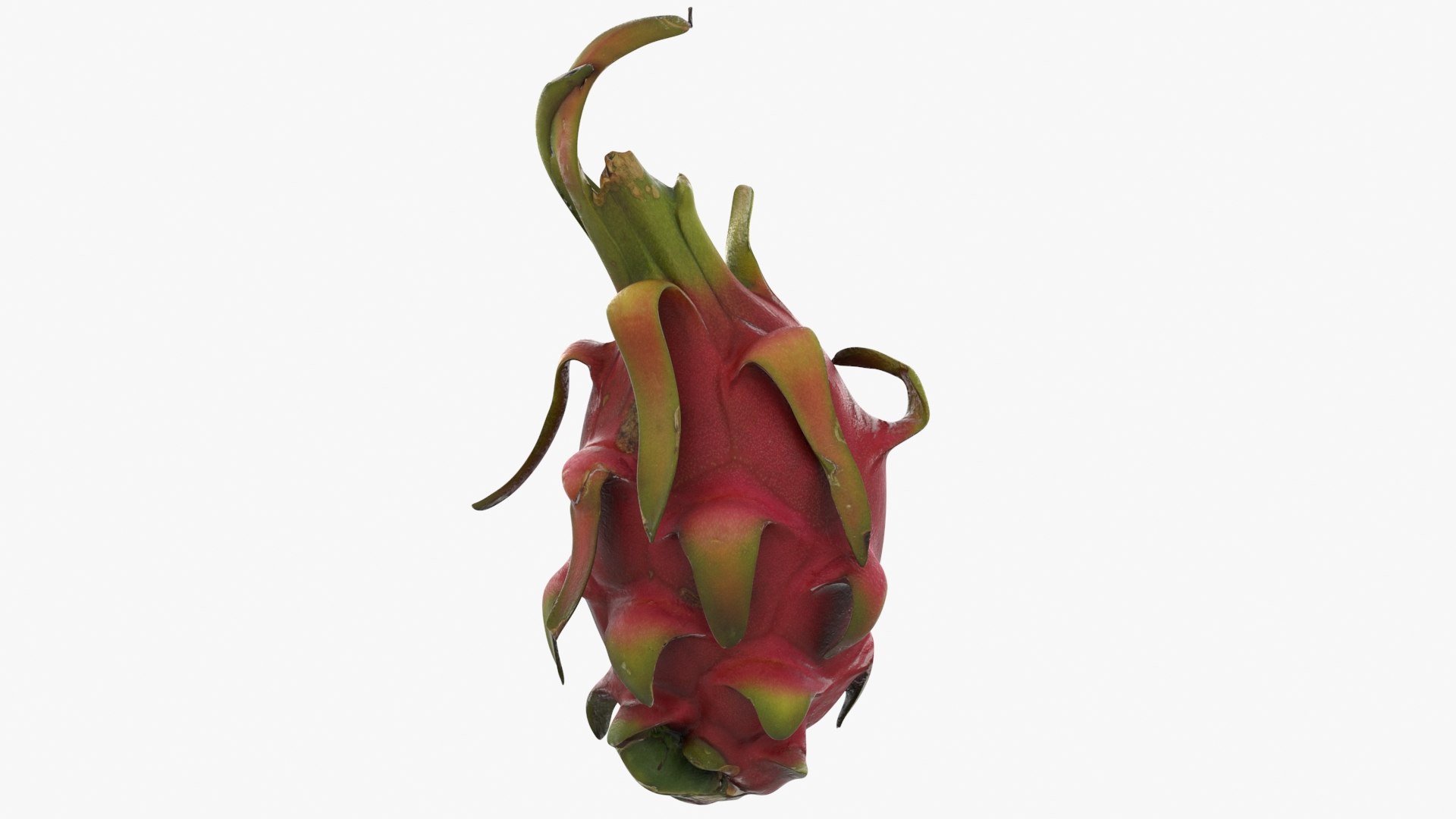 3D dragon fruit model - TurboSquid 1684569