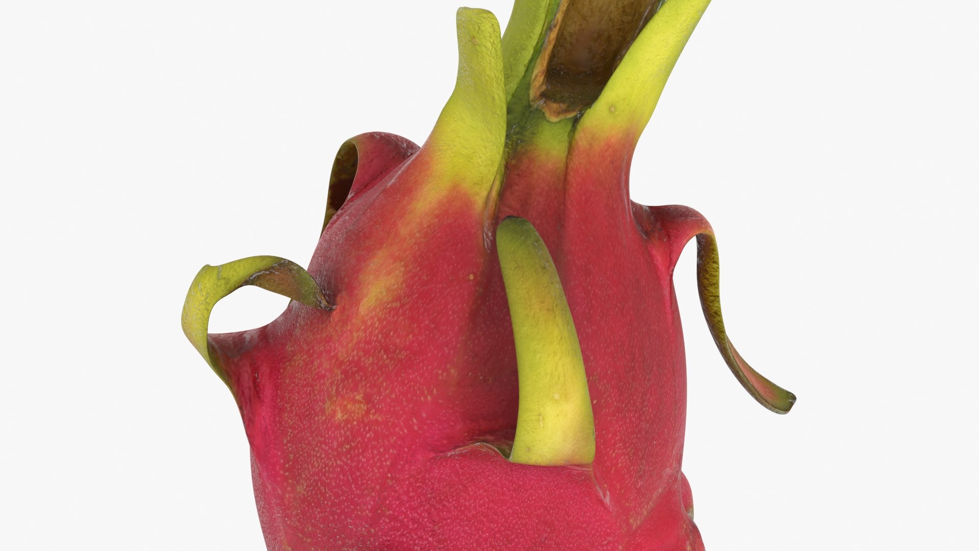 3D dragon fruit model - TurboSquid 1684569