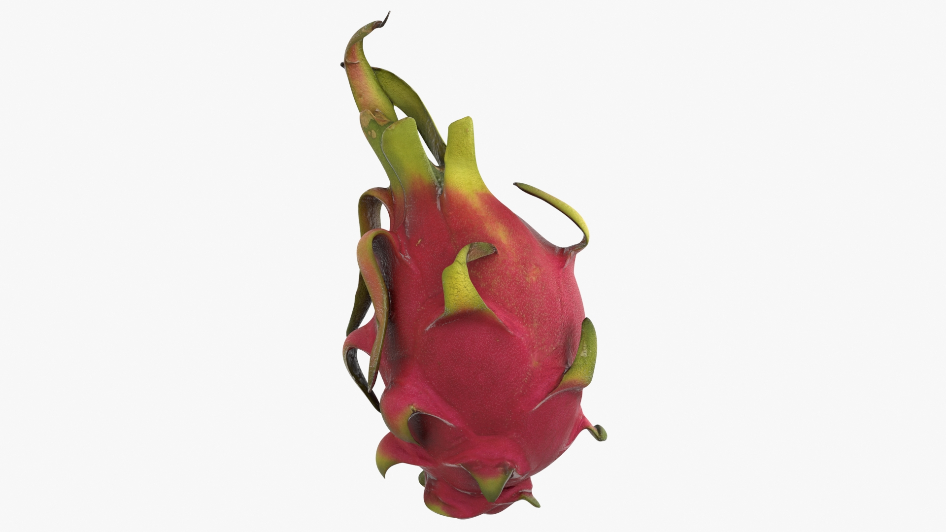 3D dragon fruit model - TurboSquid 1684569