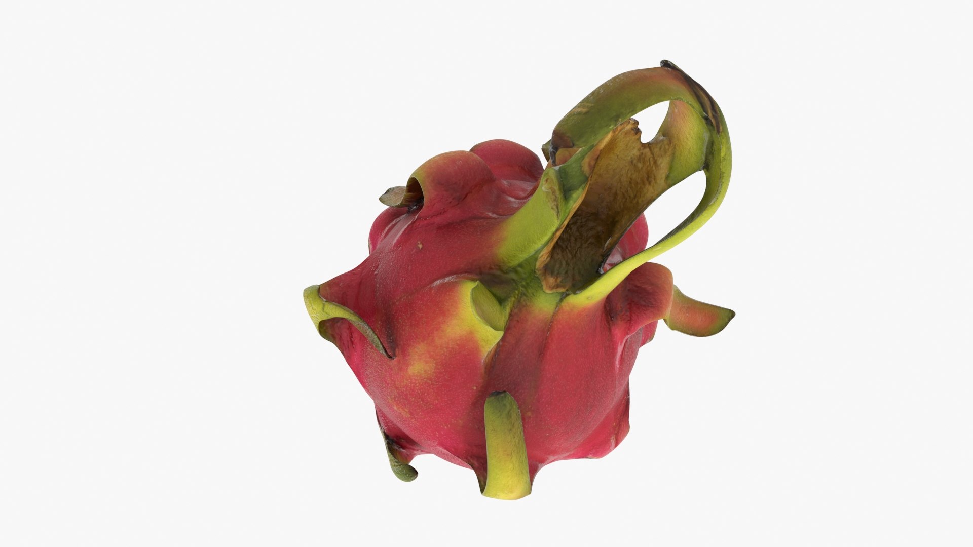 3D dragon fruit model - TurboSquid 1684569