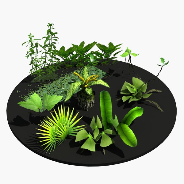 3d model water plants