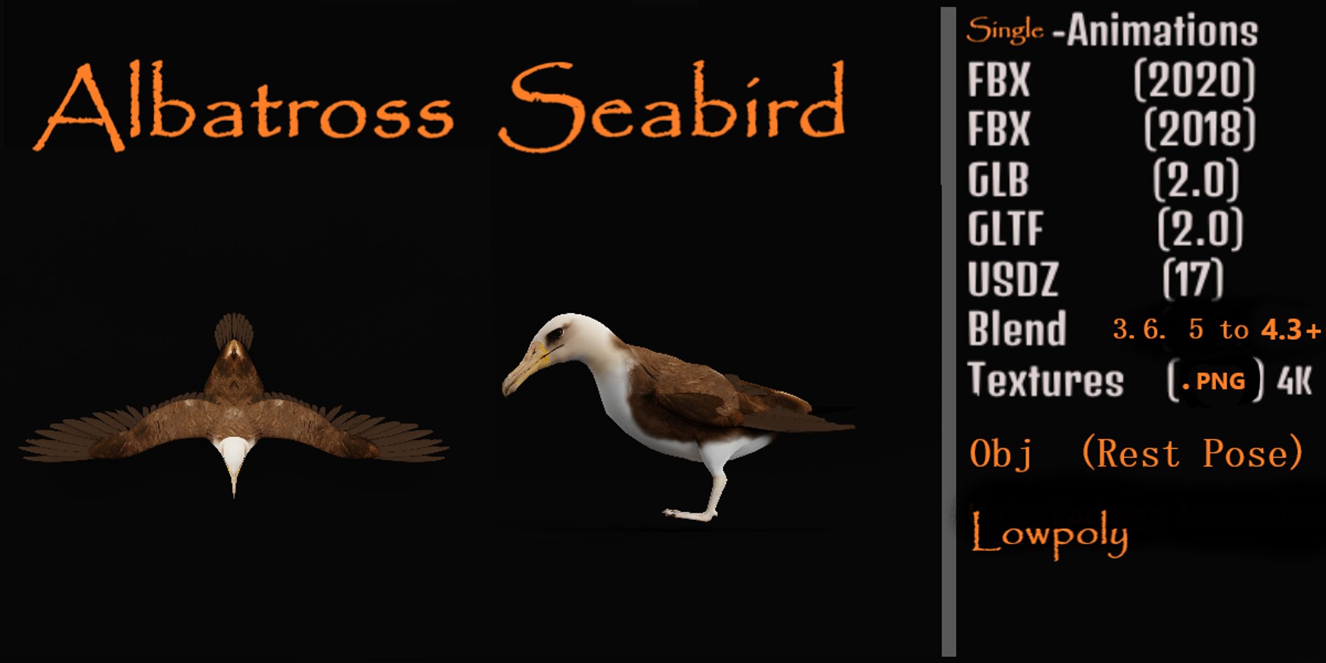 Albatross Seabird 3D Model - TurboSquid 2357222