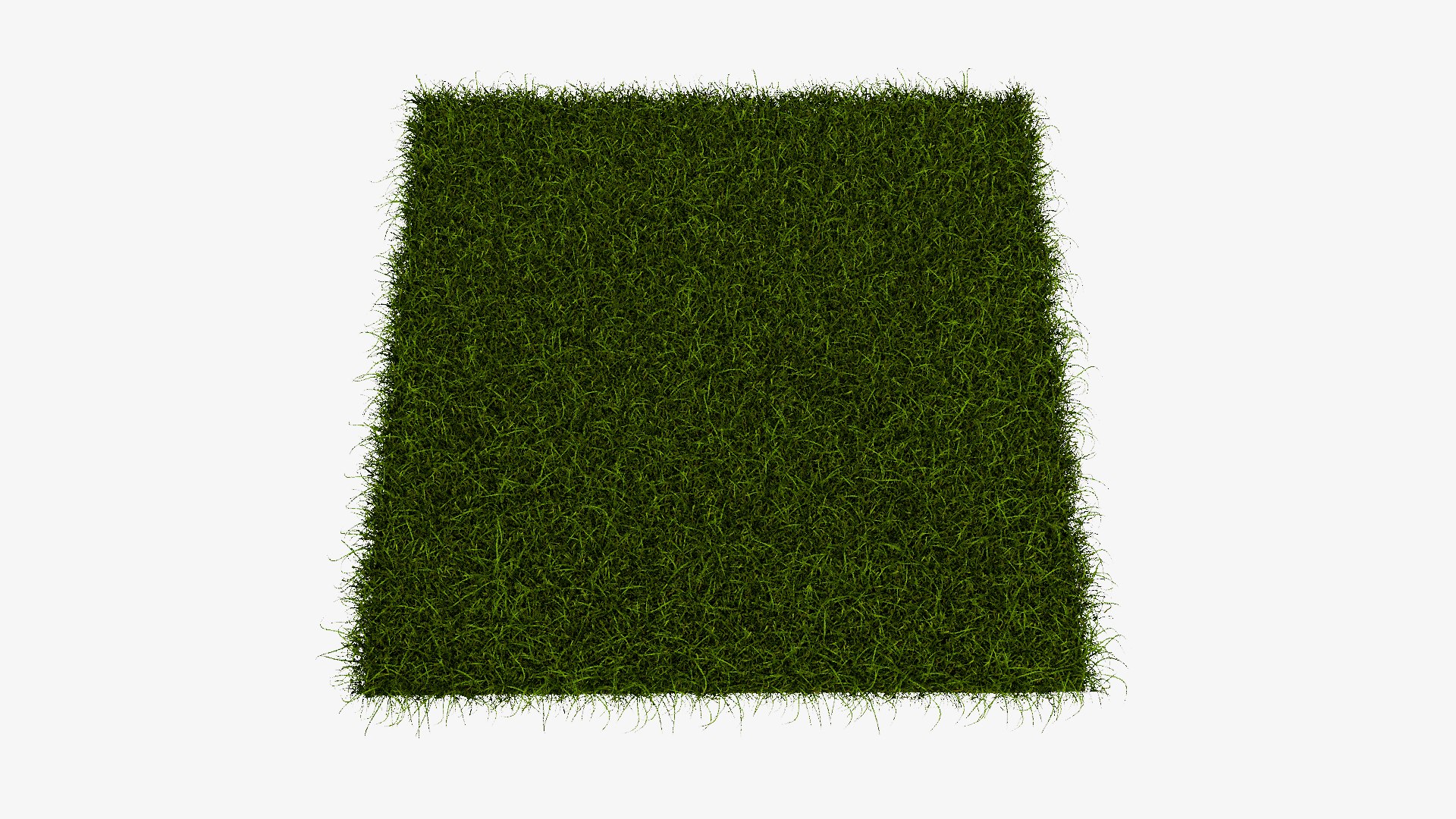 Lawn Grass 3D Model - TurboSquid 2048290