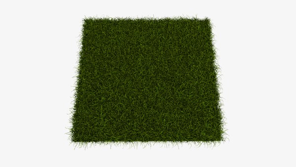 Lawn Grass 3D model - TurboSquid 2048290