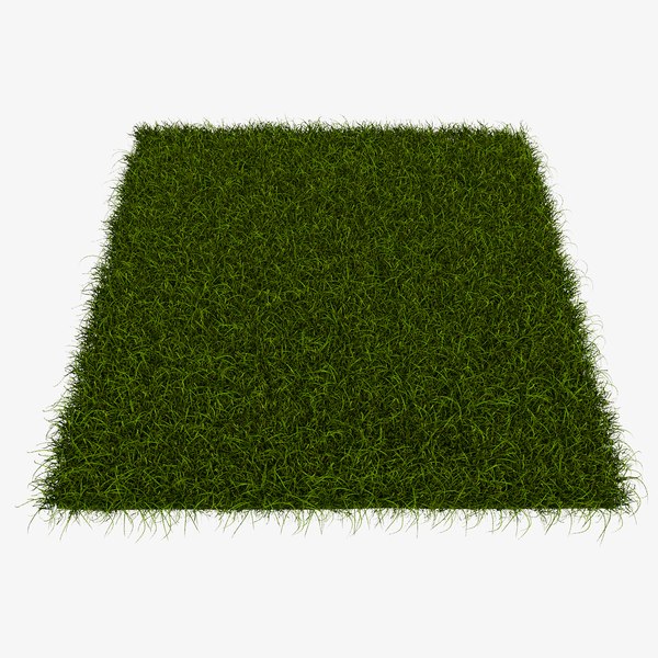 Lawn Grass 3D model - TurboSquid 2048290