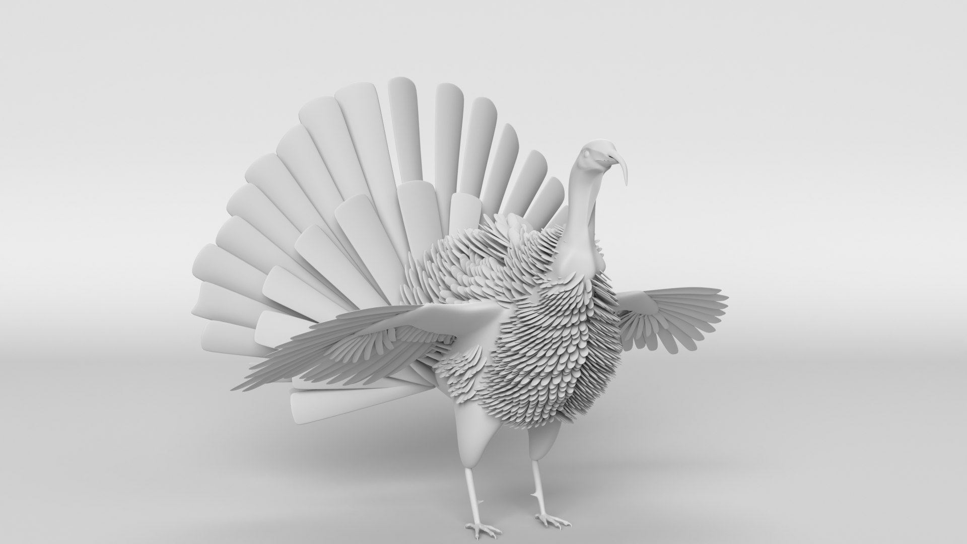 Turkey animal bird 3D model - TurboSquid 1638688