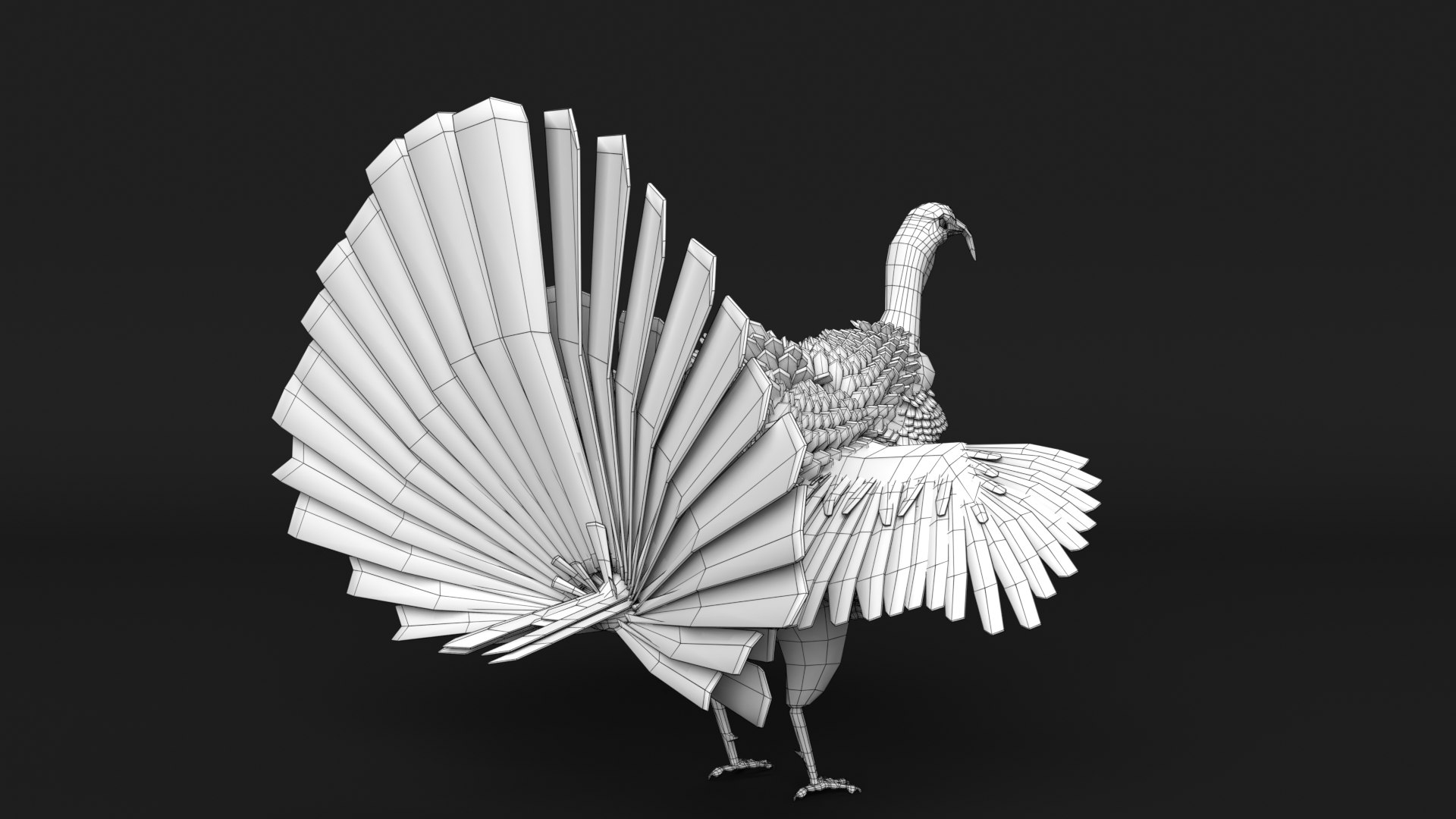 Turkey animal bird 3D model - TurboSquid 1638688