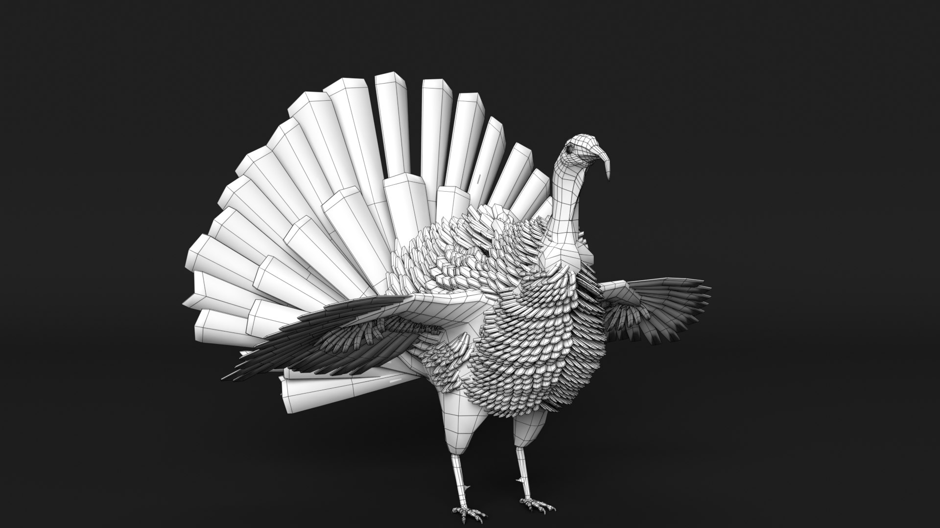 Turkey animal bird 3D model - TurboSquid 1638688