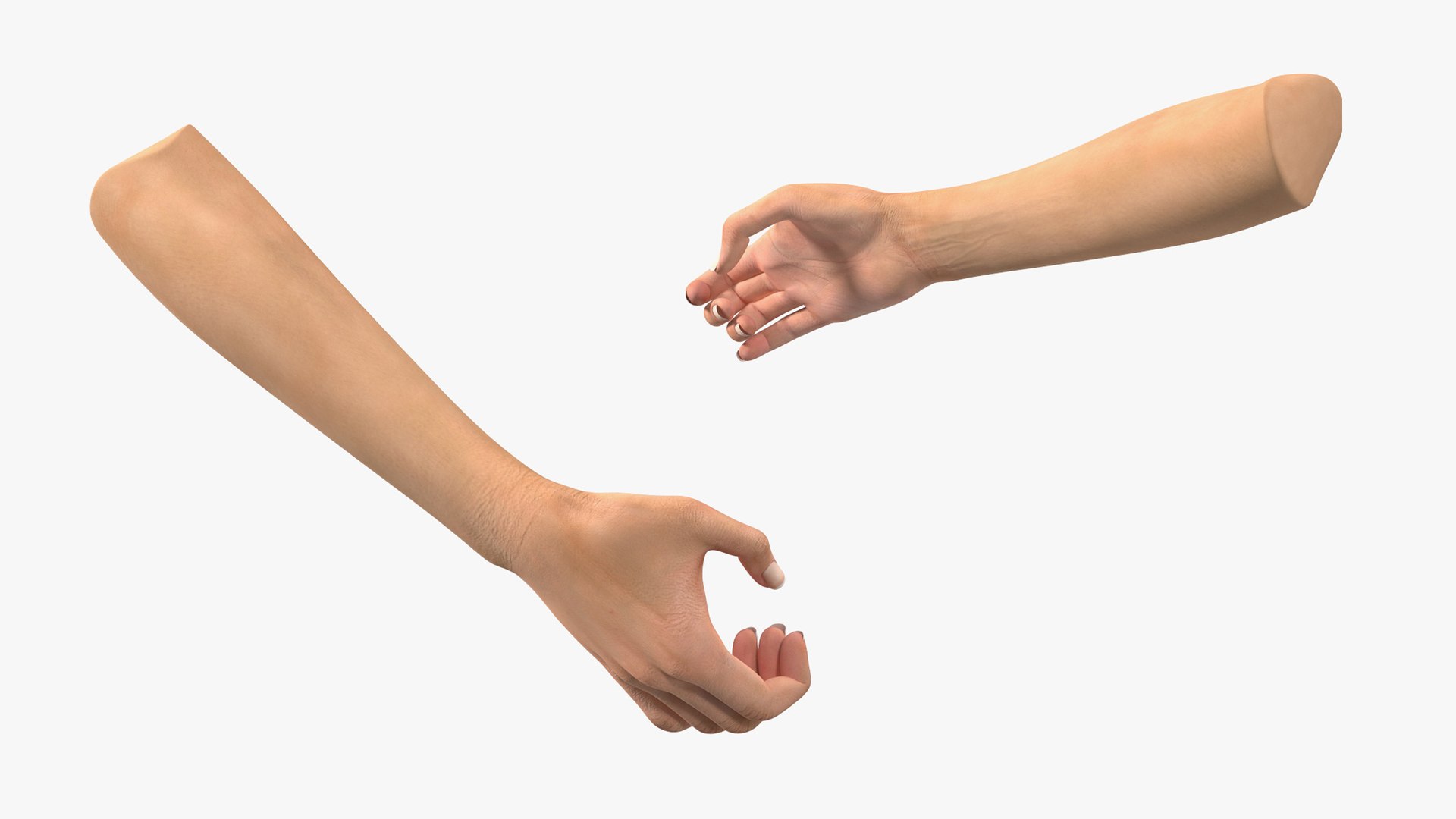 Handshake Female Hand Rigged For Maya 3D - TurboSquid 2124315