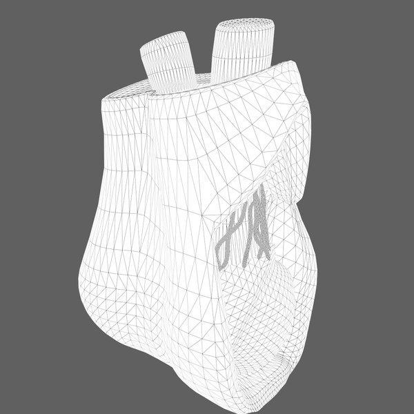 Male testicle anatomy 3D - TurboSquid 1521454