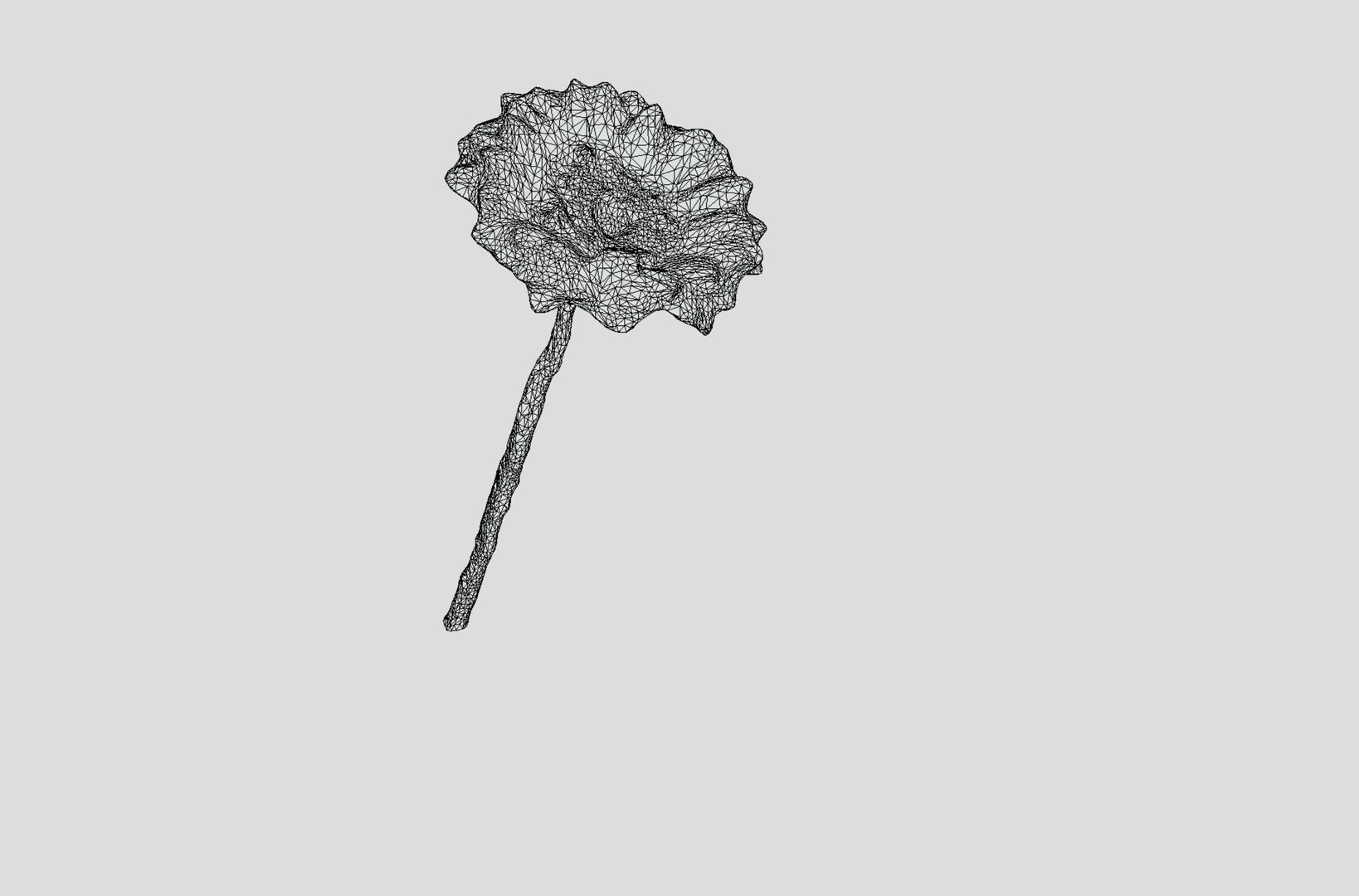 Gerbera Daisy 3D Model - TurboSquid 2047285