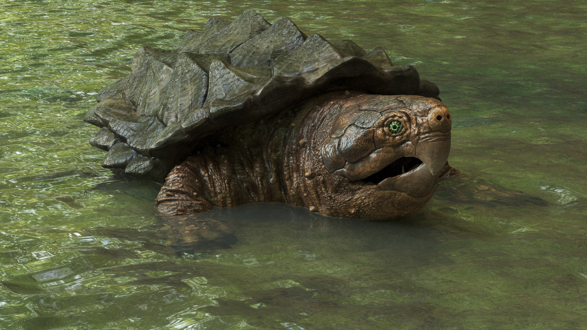 Alligator Snapping Turtle Rigged 3D - TurboSquid 2415744
