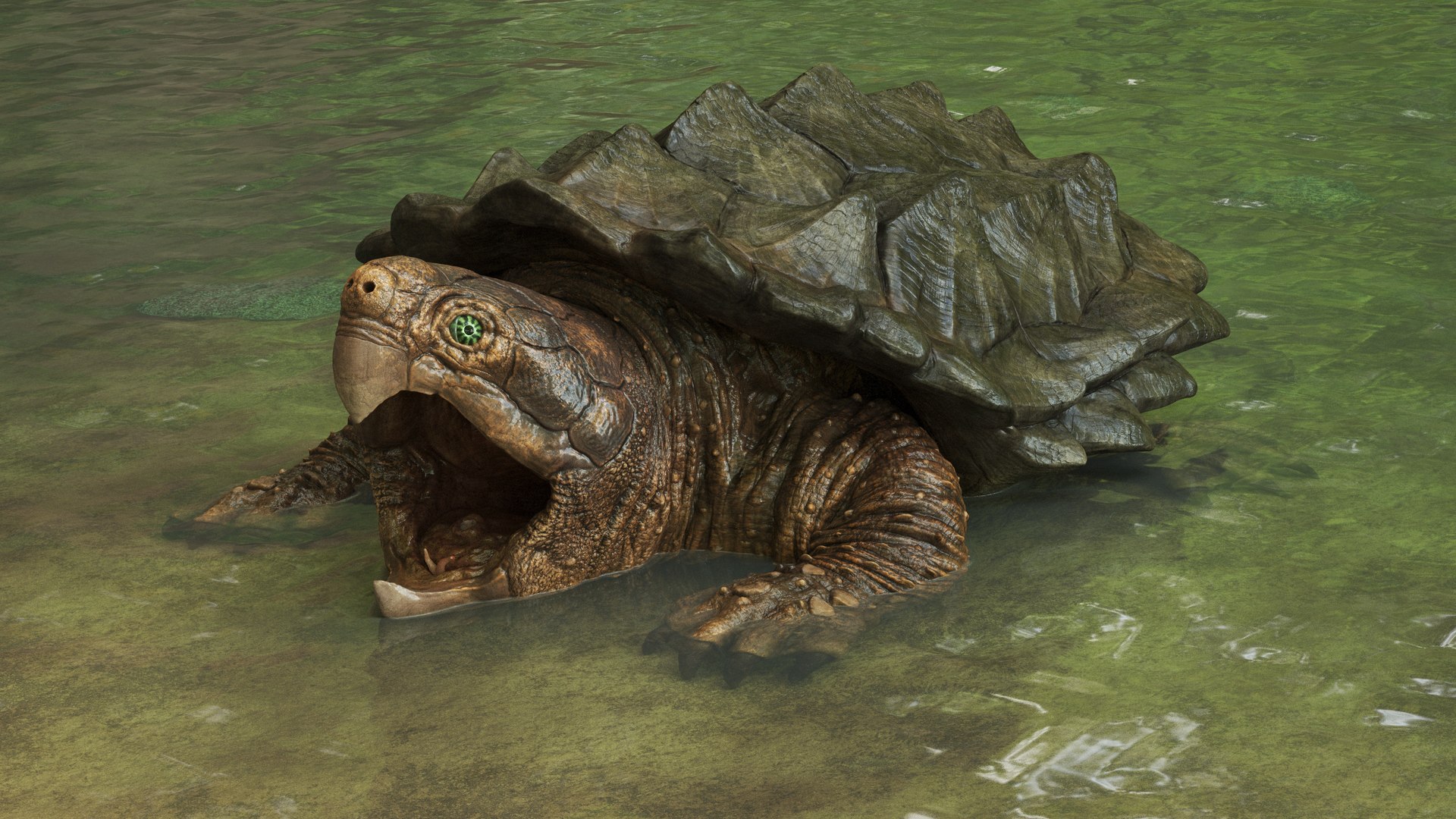 Alligator Snapping Turtle Rigged 3D - TurboSquid 2415744