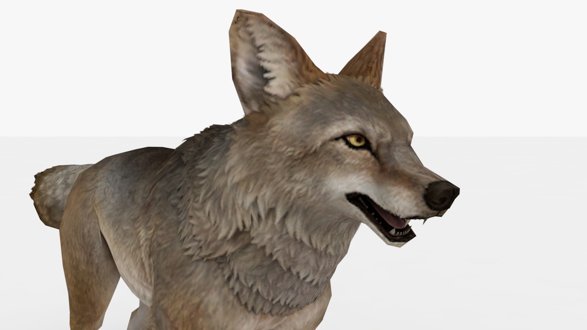 3D Coyote - TurboSquid 2348419