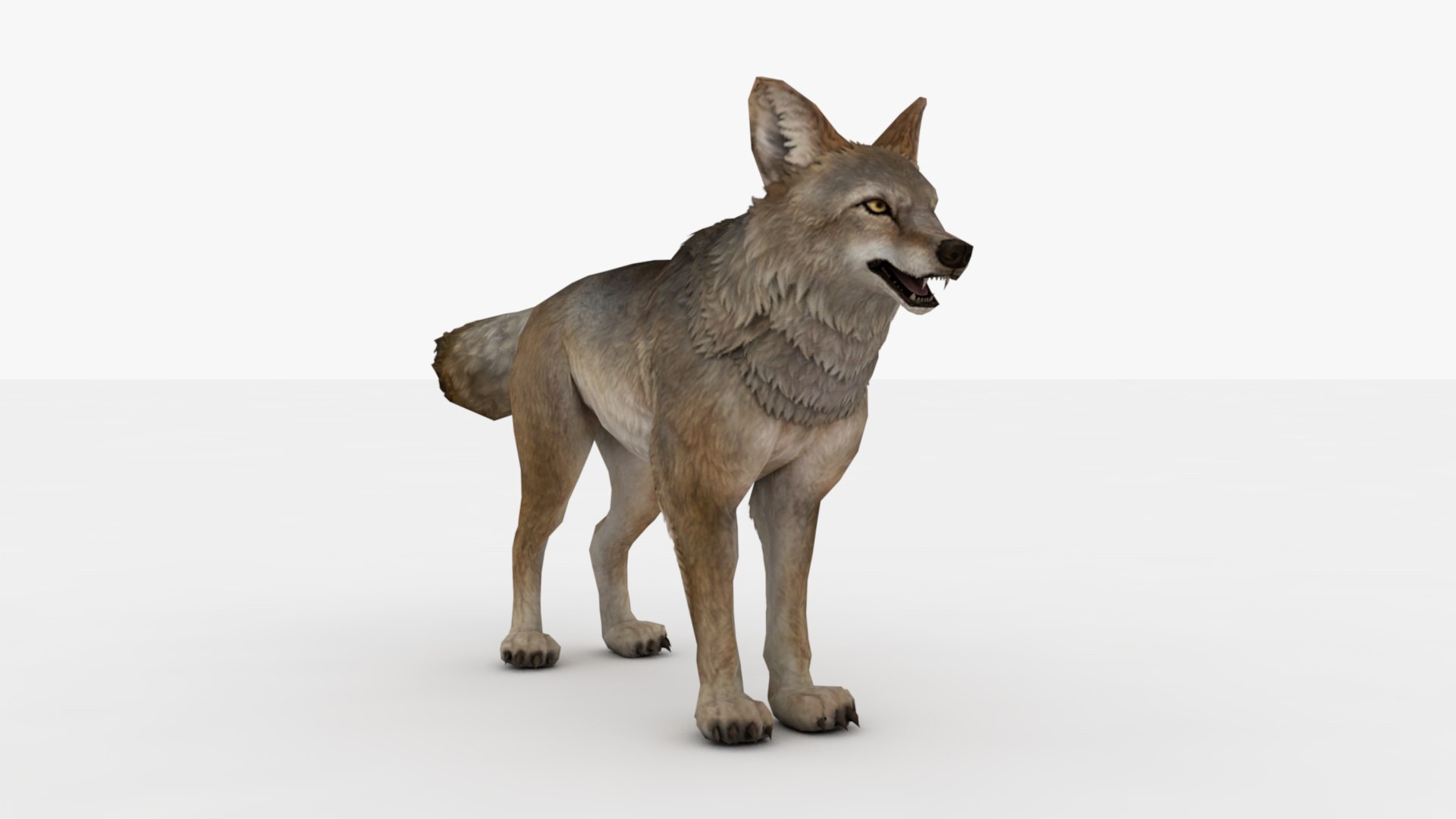 3D Coyote - TurboSquid 2348419