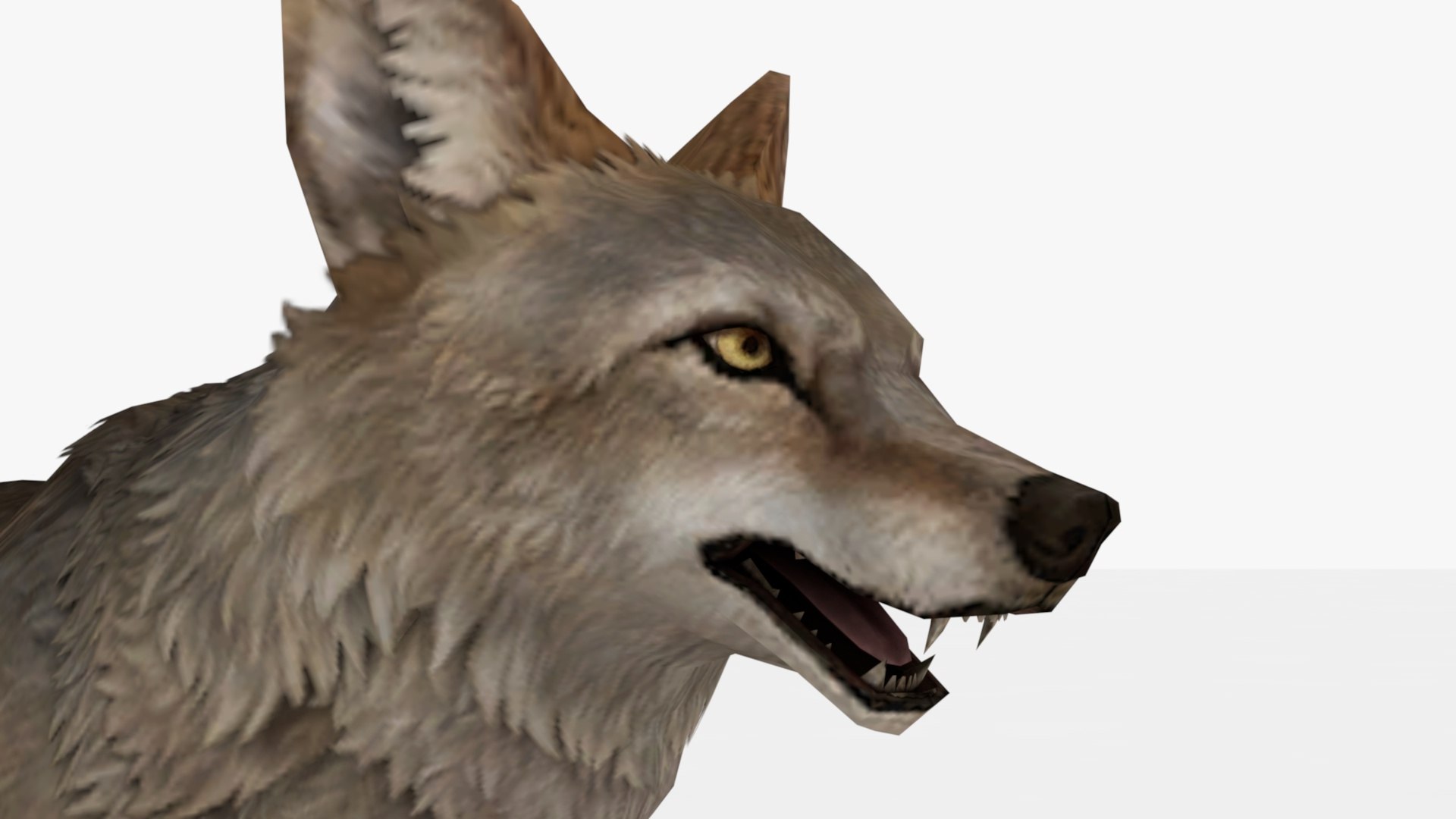3D Coyote - TurboSquid 2348419