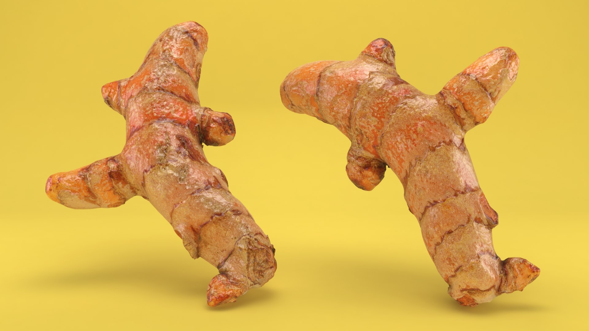3D Turmeric Collection - TurboSquid 2154272