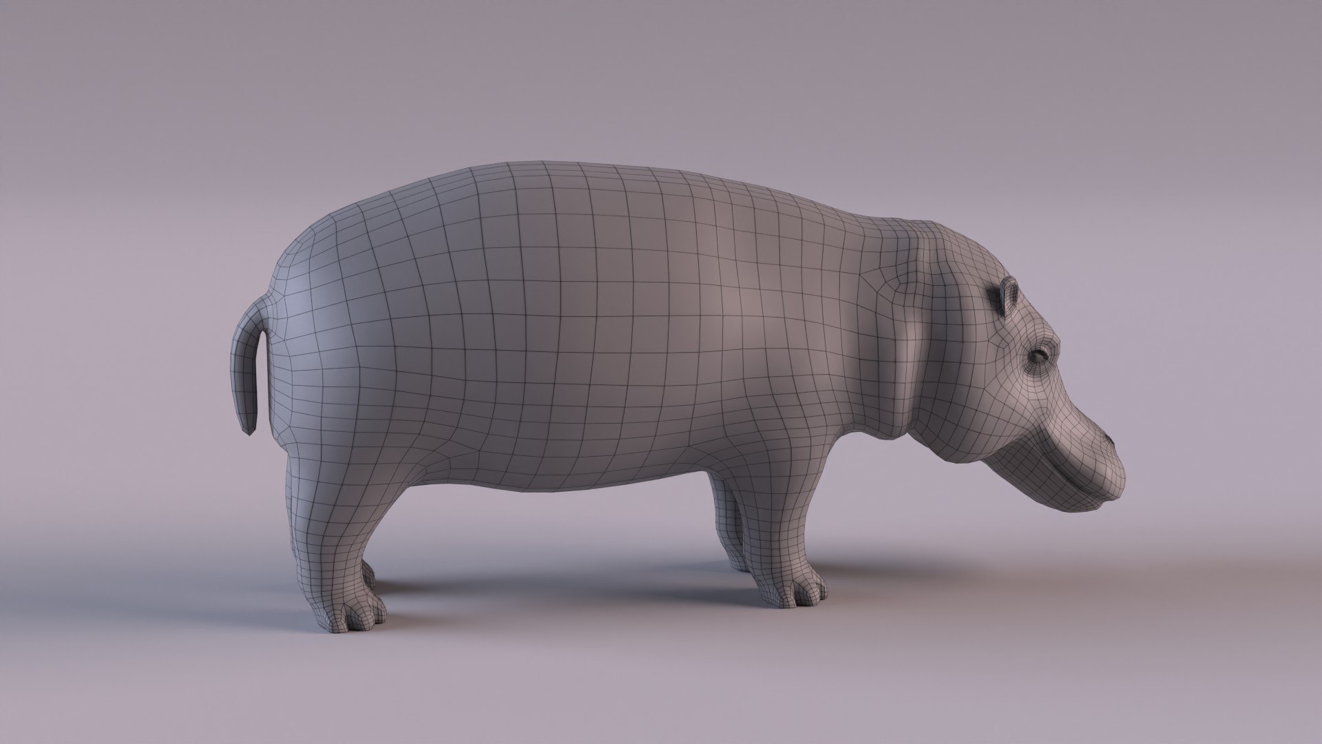 3d Model Hippo Hippopotamus