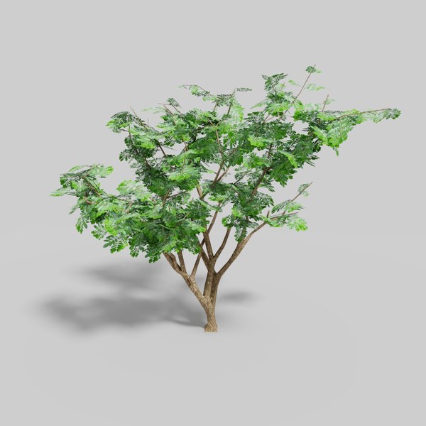 Tree DXF Models for Download | TurboSquid