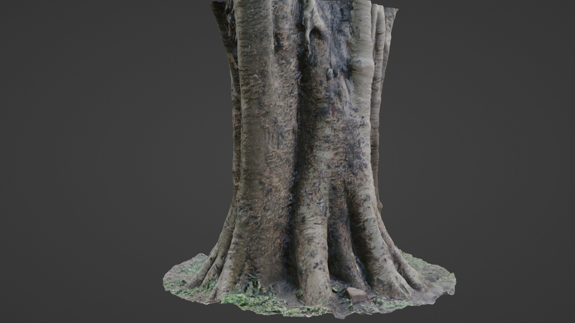 3D Board Tree - TurboSquid 2329659