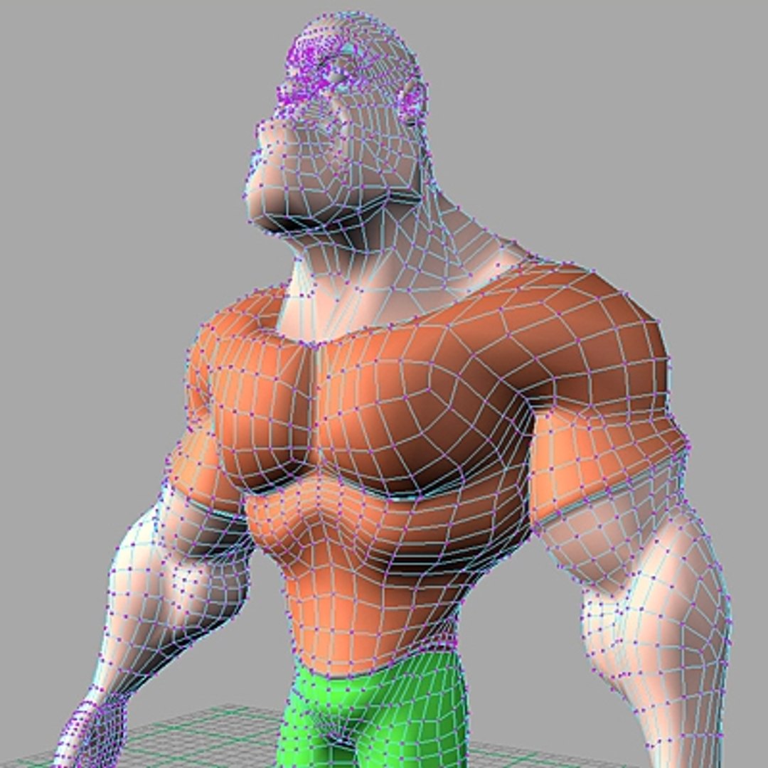 Character Rigged 3d Model