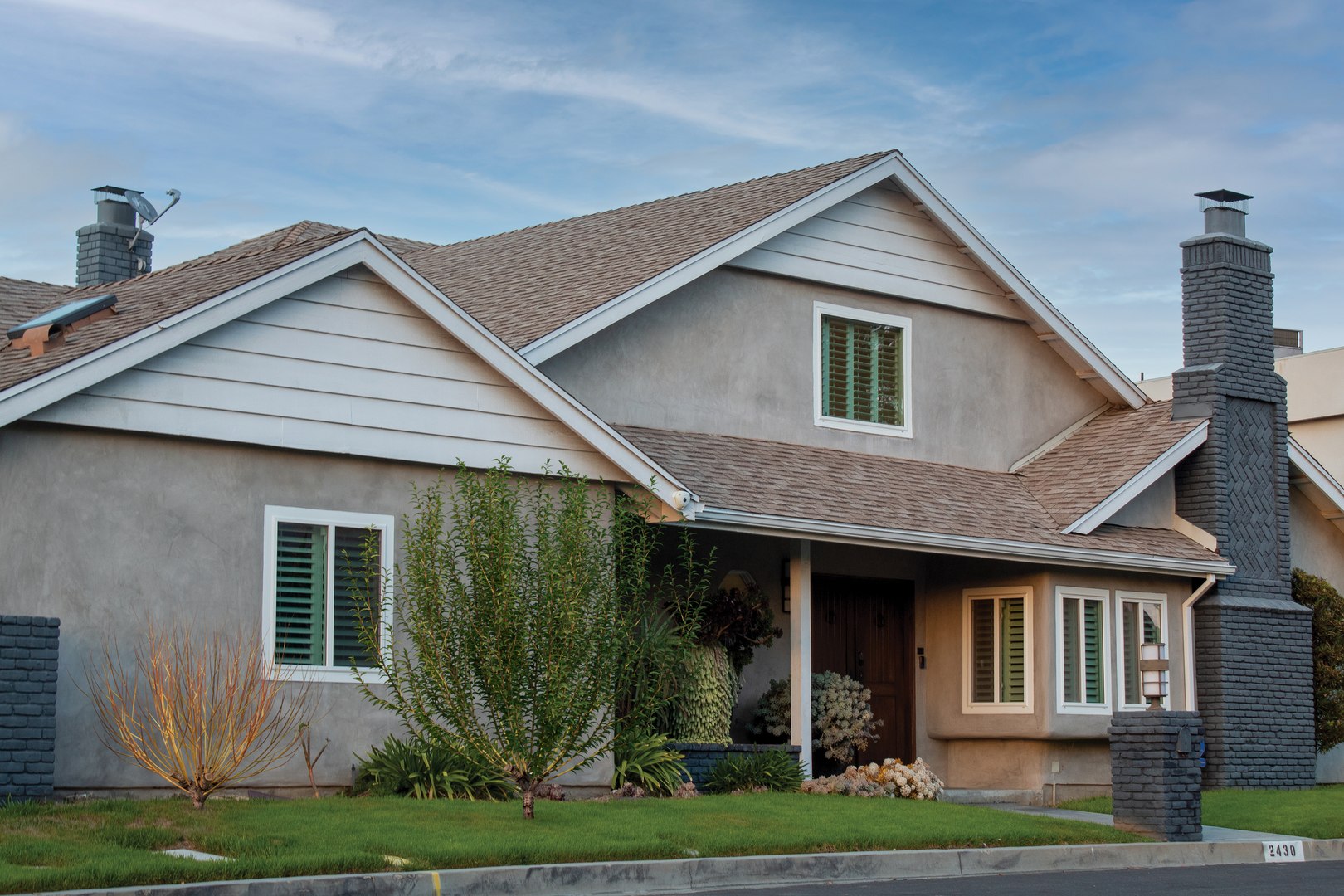 3D 2021 PBR Golden Willow Collection - Salix Alba Vitellina Model - TurboSquid 1751115