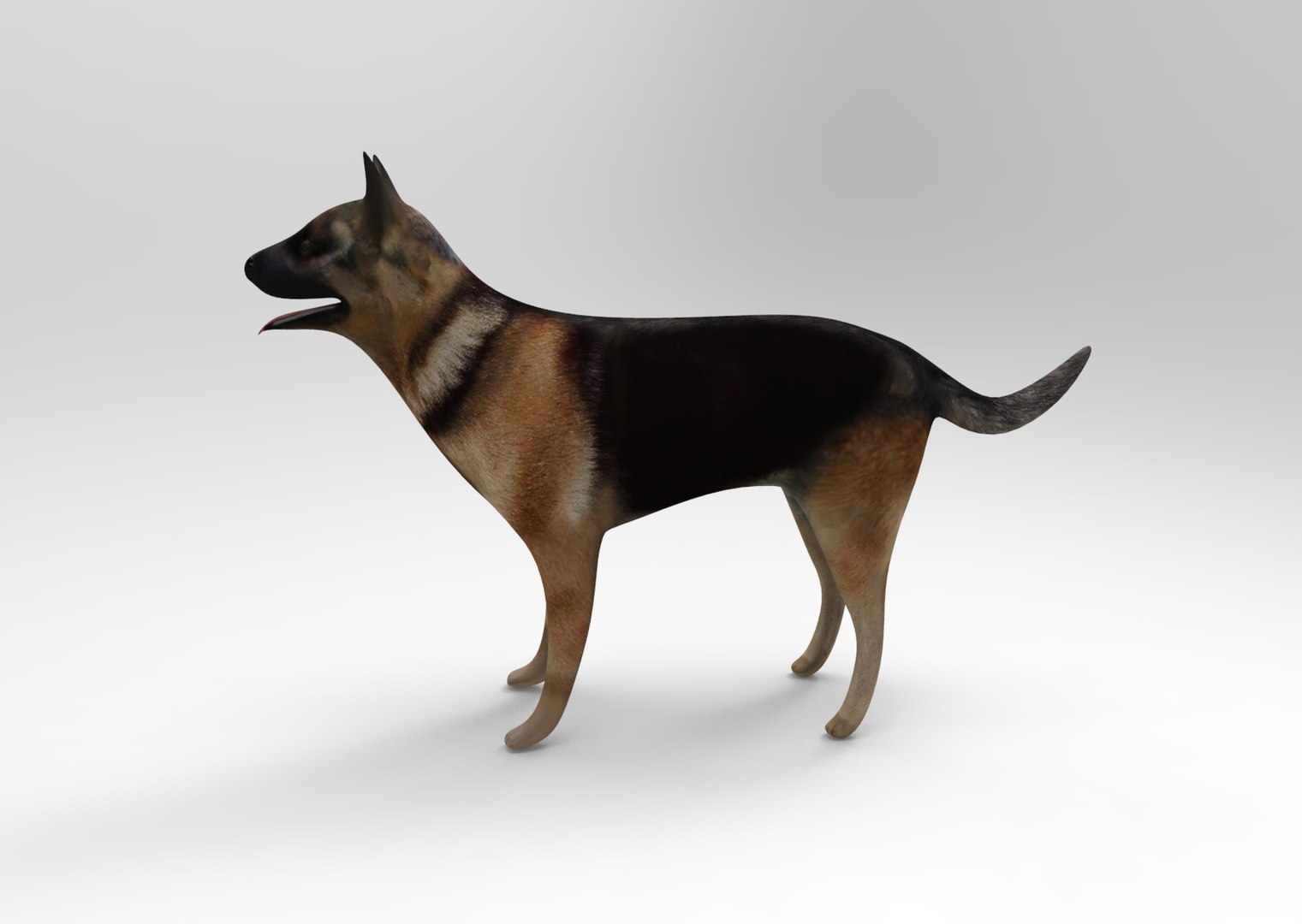 3d german shepherd dog rigged model