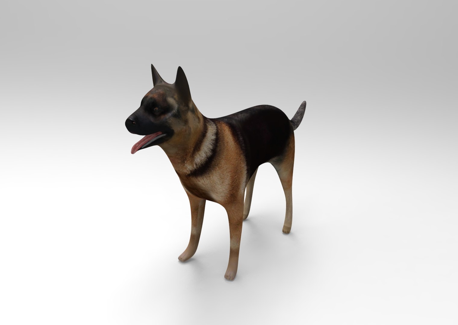 3d german shepherd dog rigged model