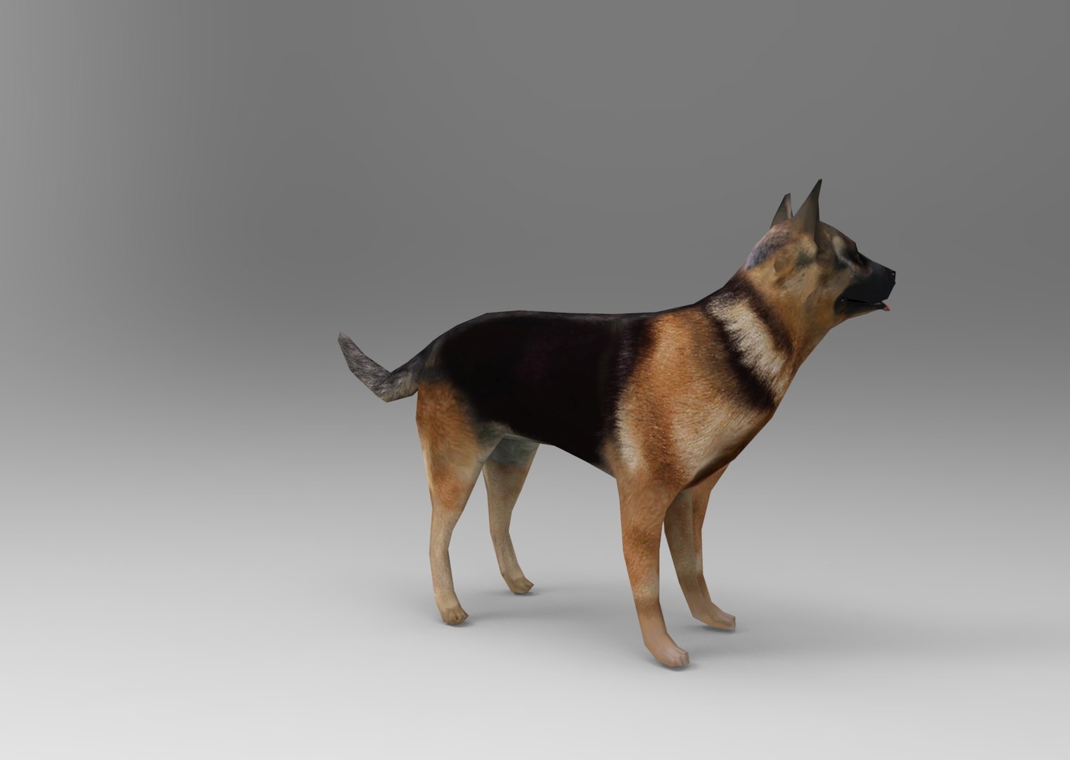 3d german shepherd dog rigged model