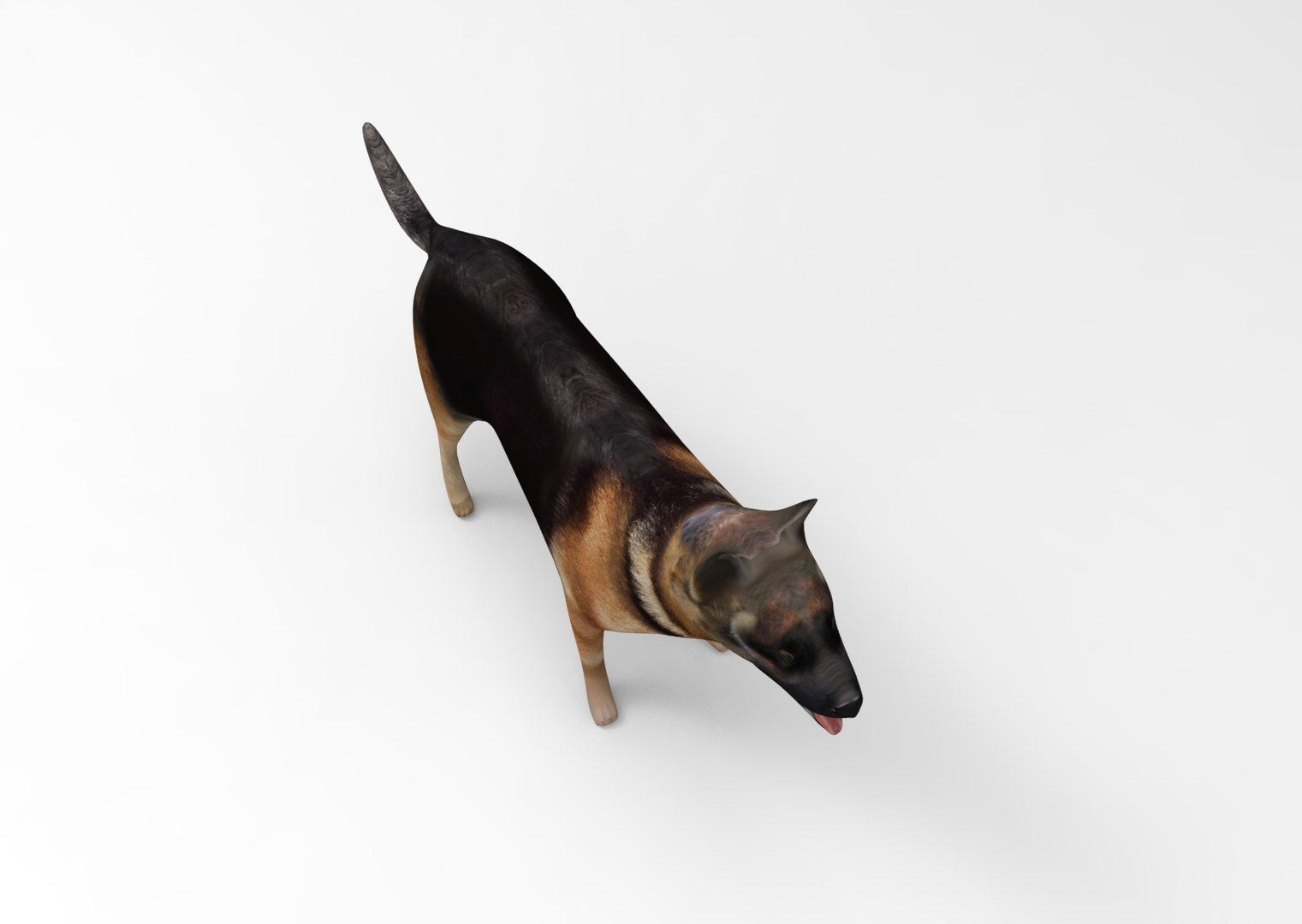 3d german shepherd dog rigged model