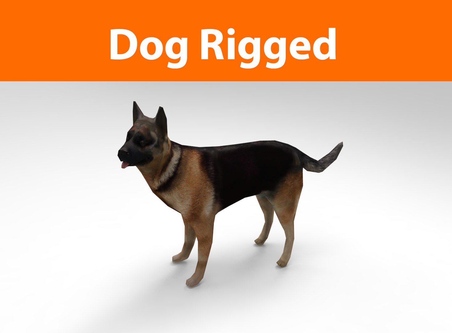 3d german shepherd dog rigged model