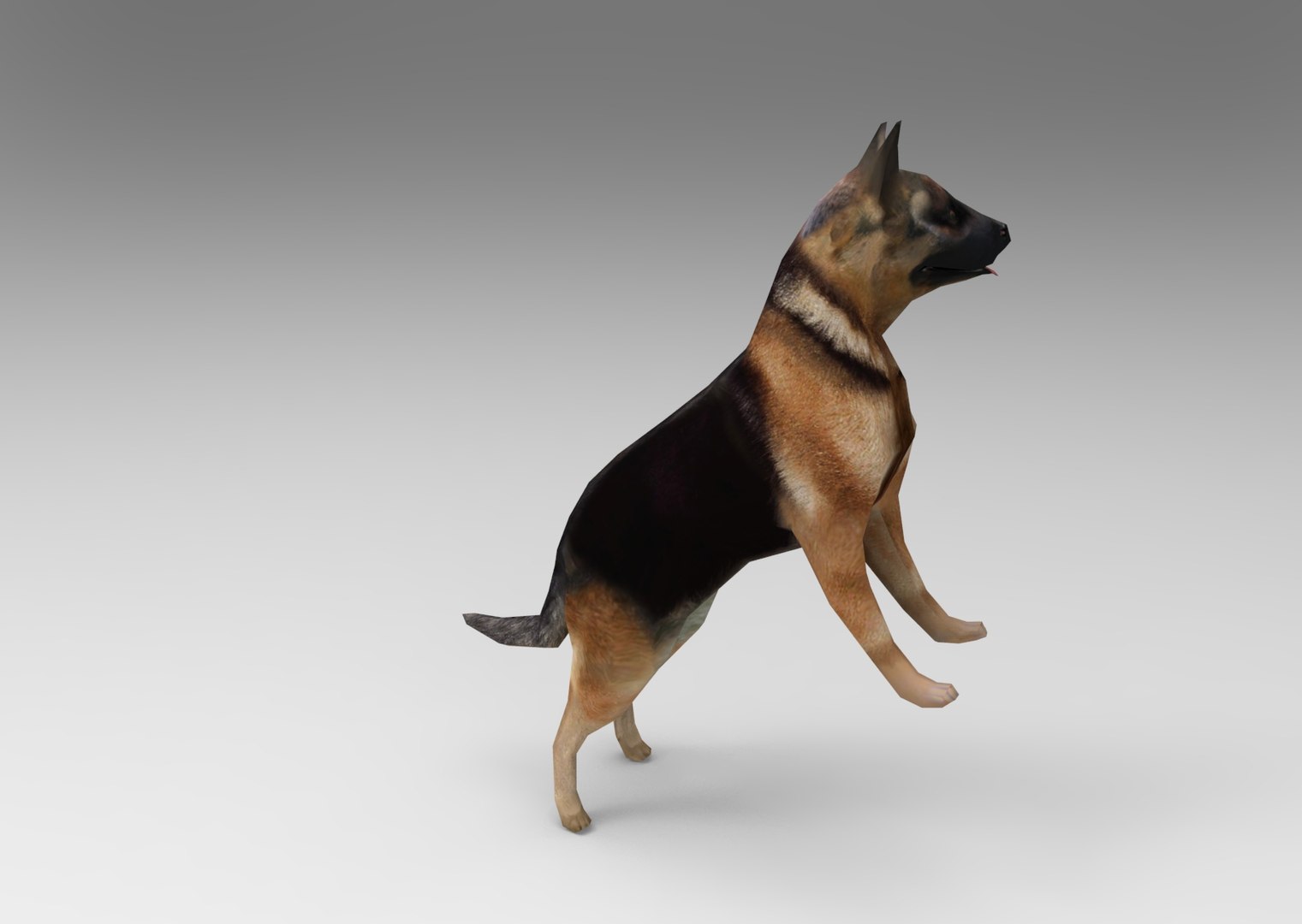 3d german shepherd dog rigged model