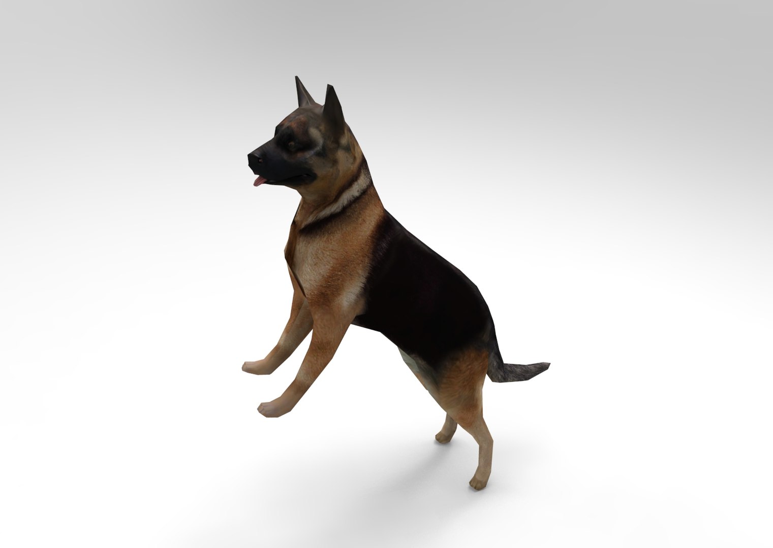 3d german shepherd dog rigged model