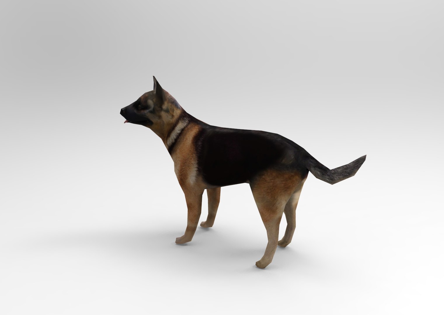 3d german shepherd dog rigged model