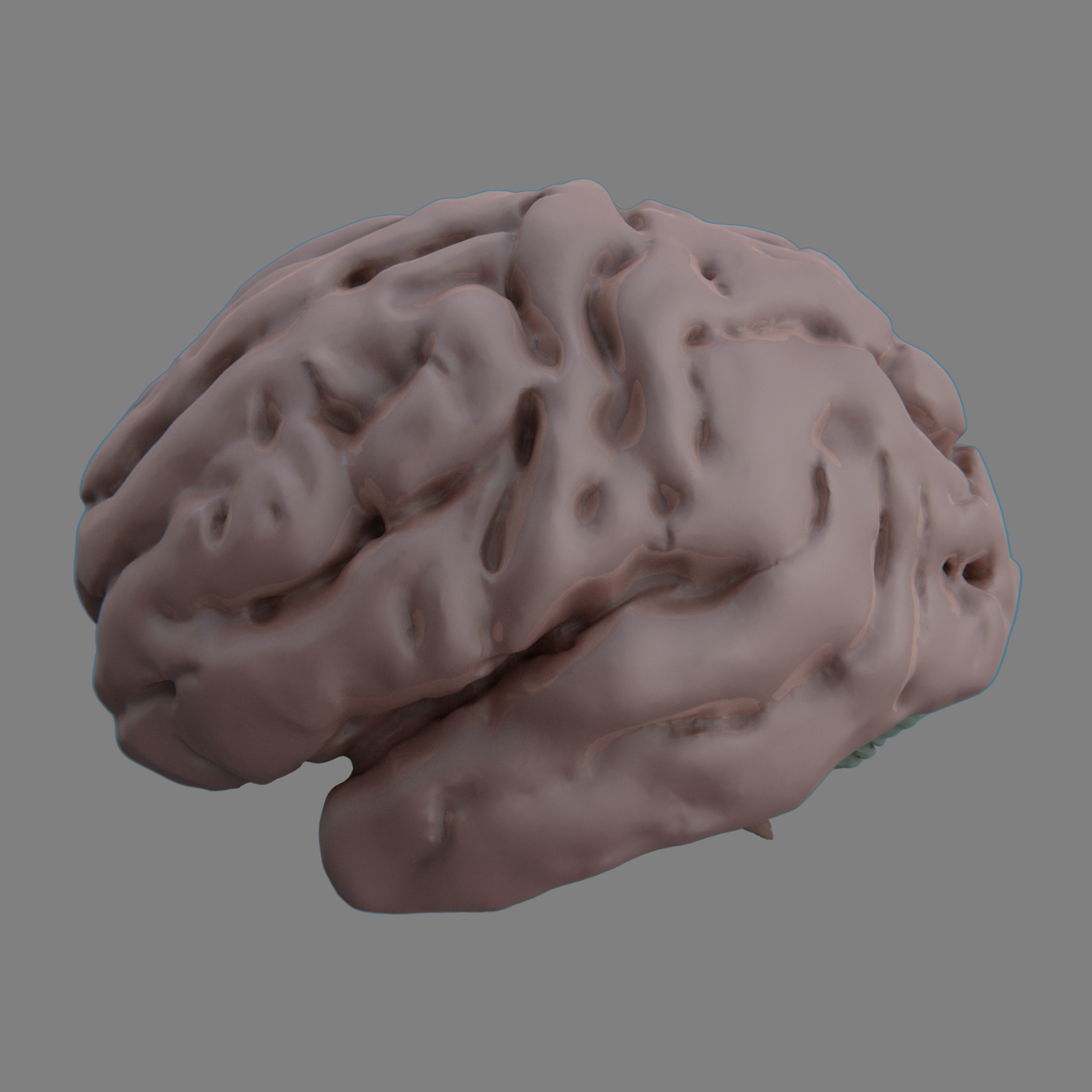 3D brain parts model - TurboSquid 1157872