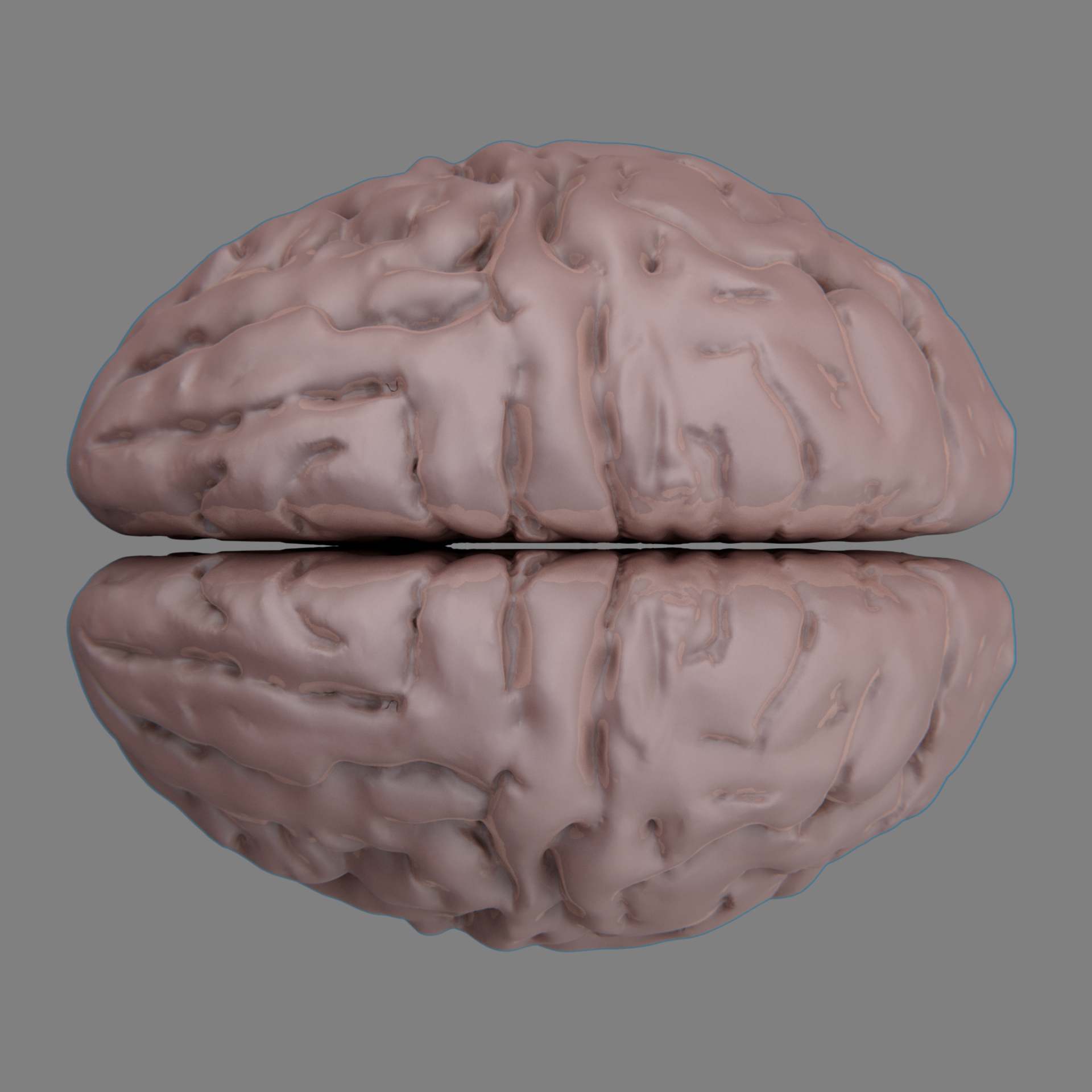 3D brain parts model - TurboSquid 1157872