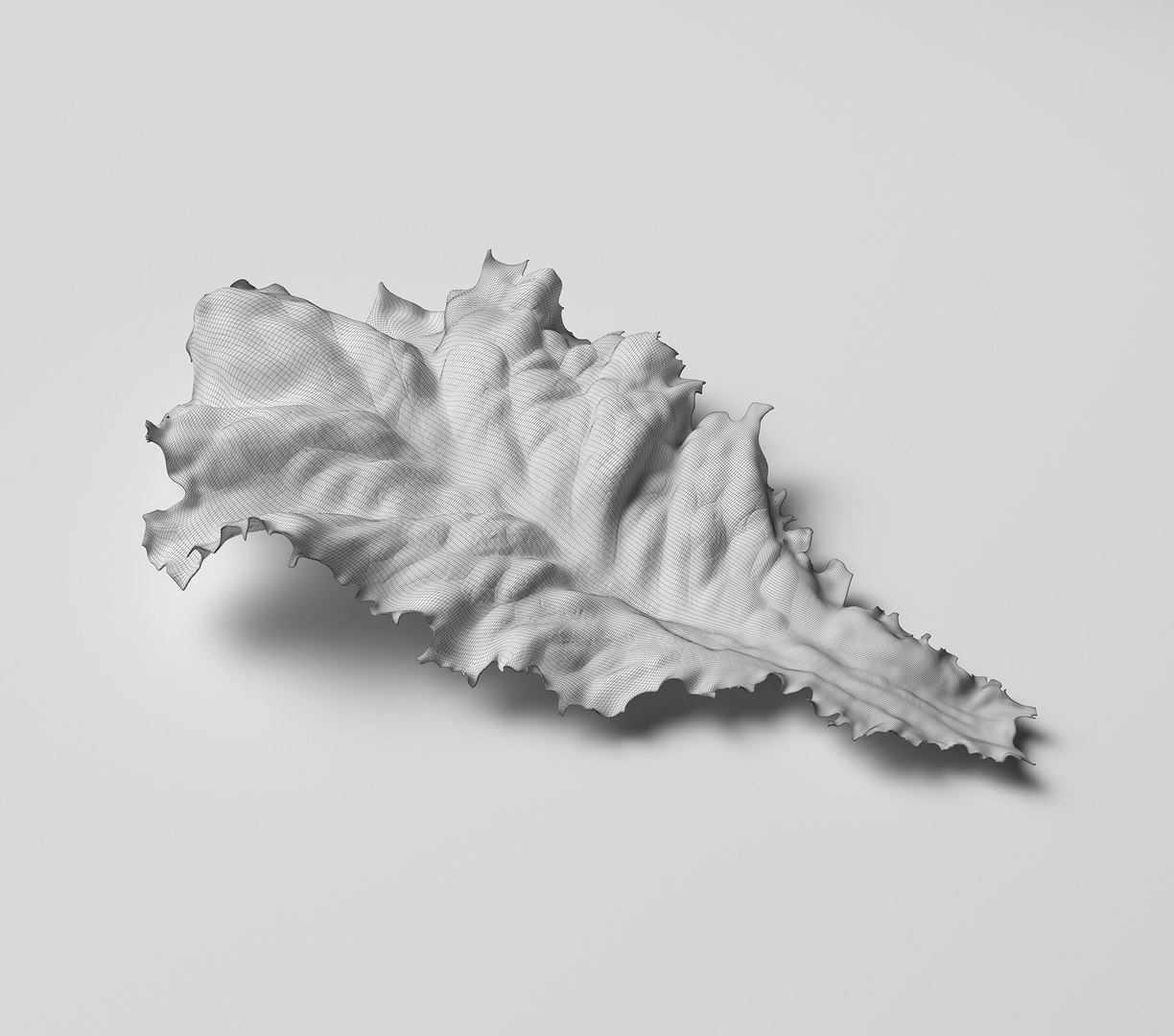 3D Lettuce Leaf Model - TurboSquid 2111092
