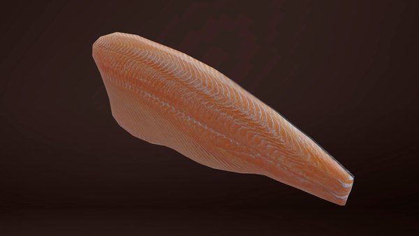 Salmon 3D model - TurboSquid 1955548