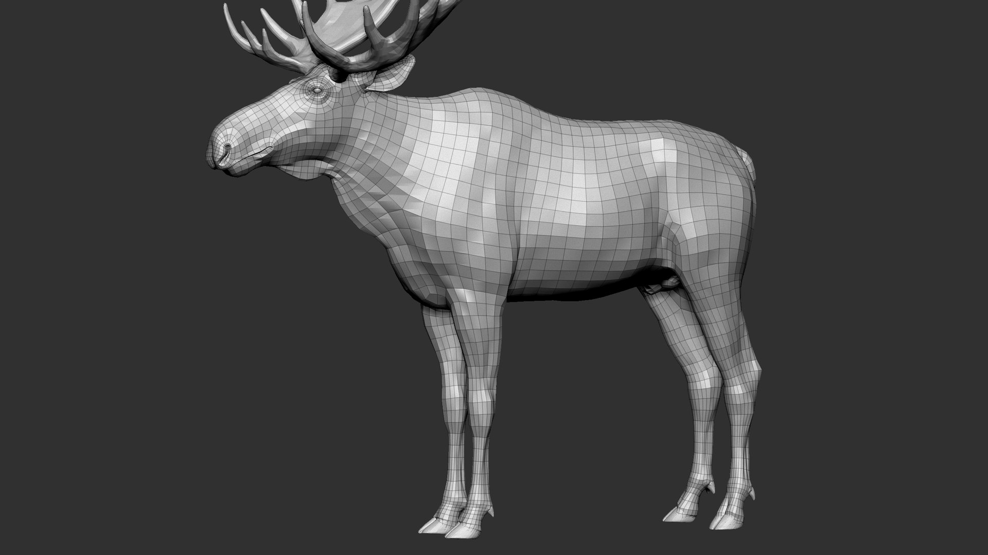 Moose 3D Model - TurboSquid 1728781