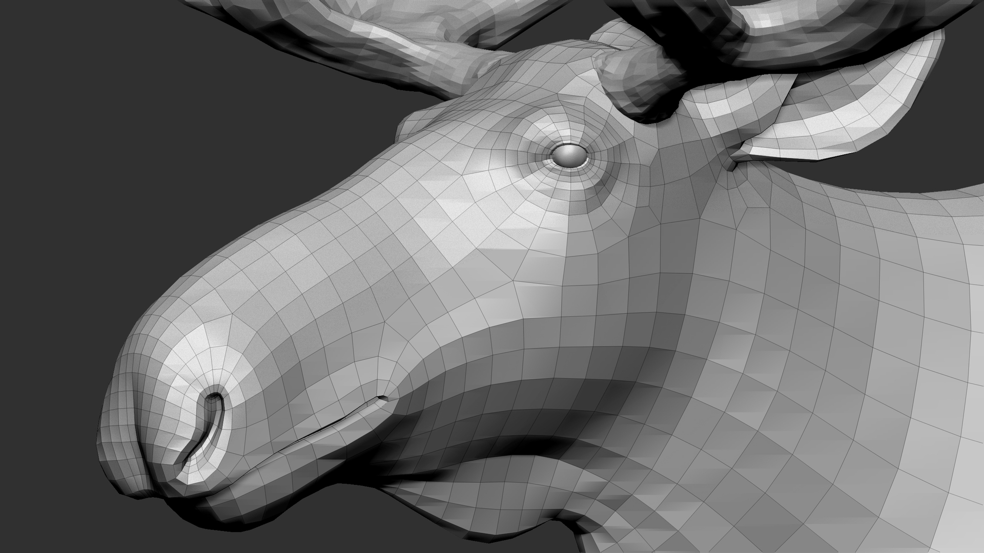 Moose 3D model - TurboSquid 1728781