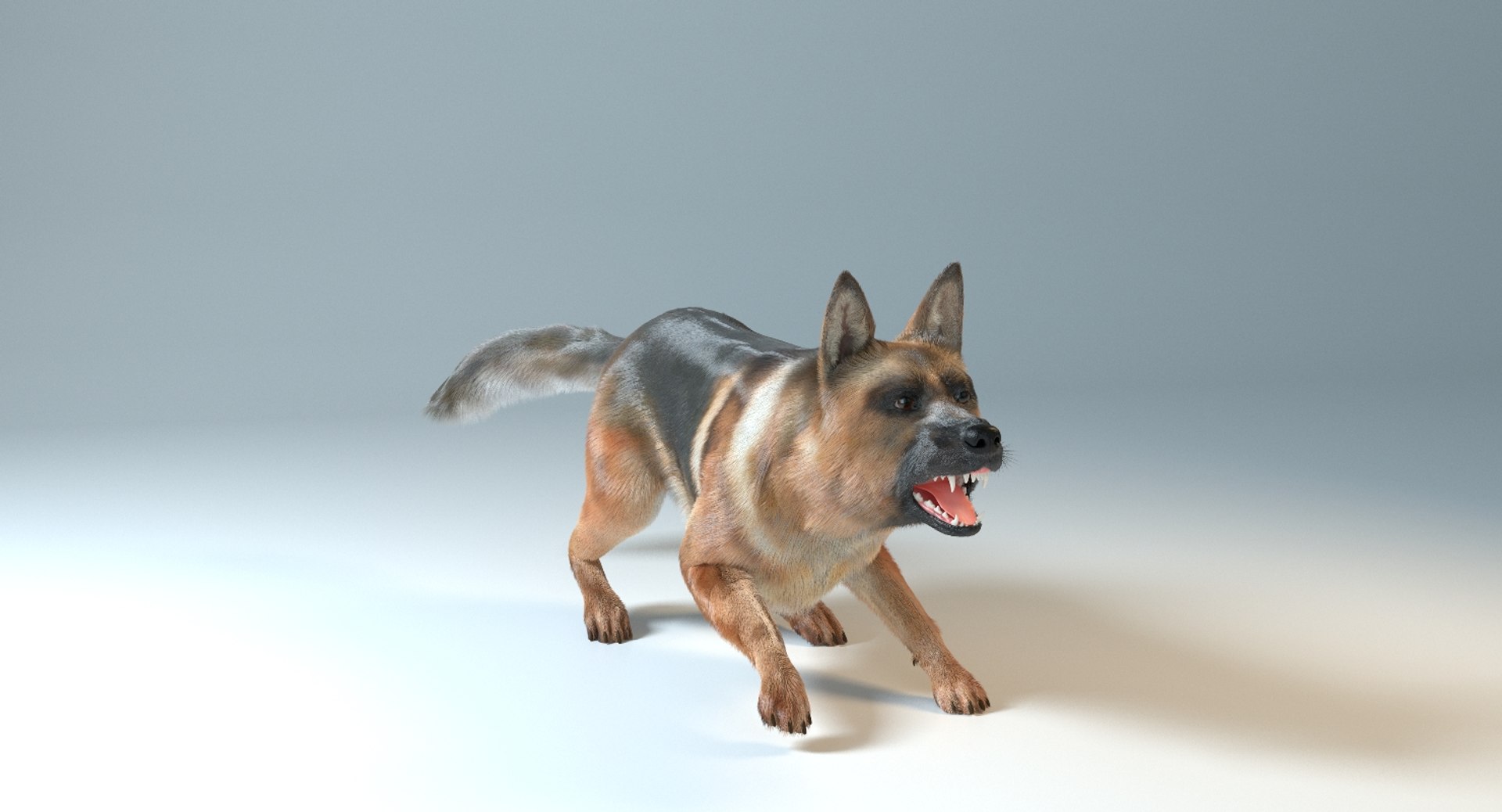 German Shepherd Rig Fur 3D - TurboSquid 1154698