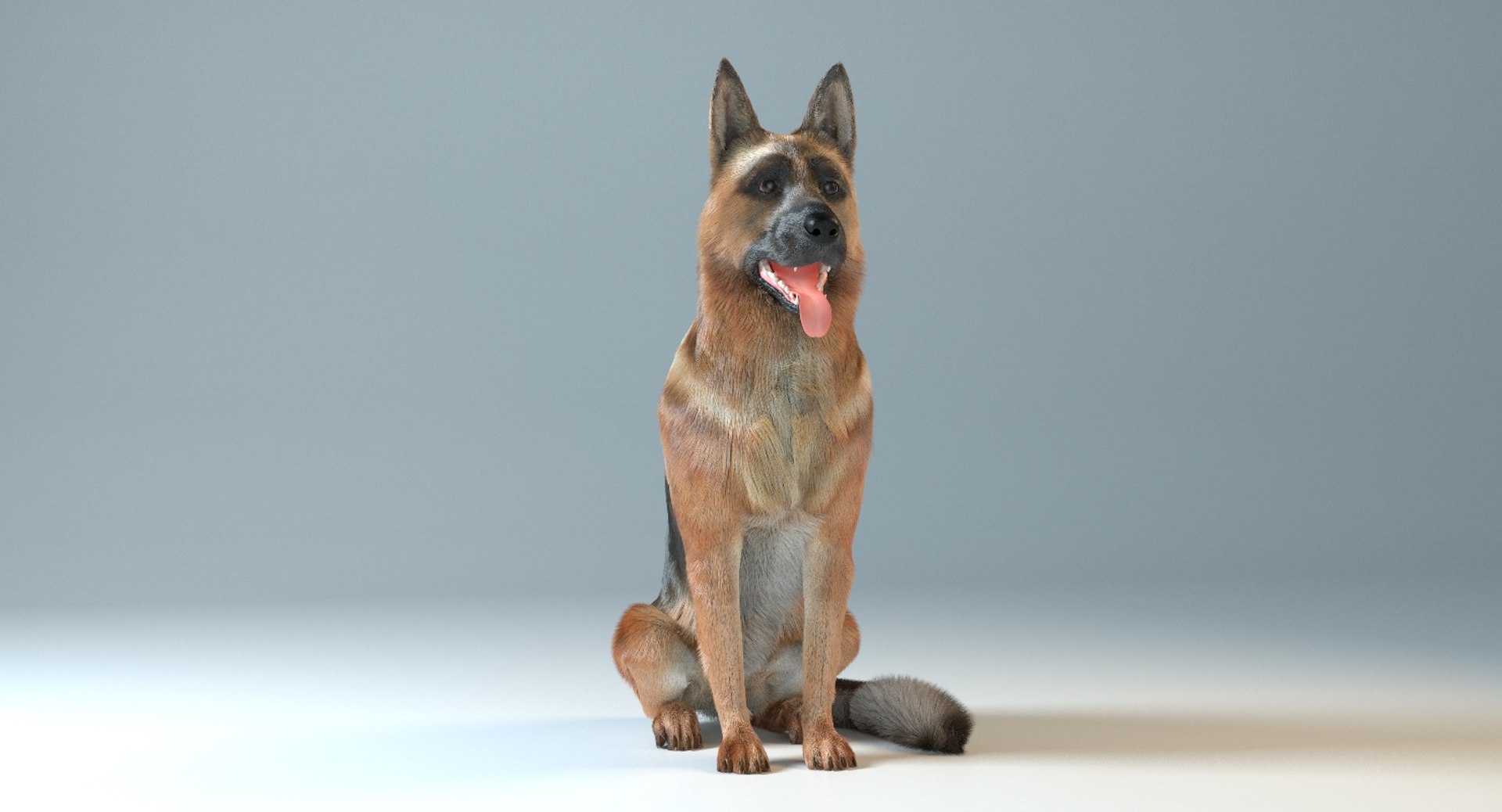 German Shepherd Rig Fur 3D - TurboSquid 1154698