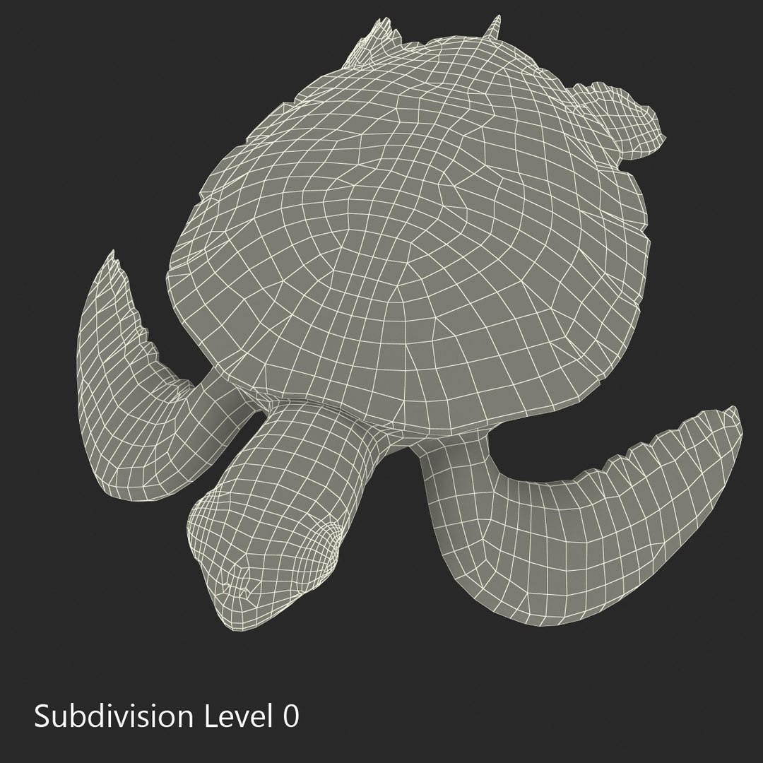 3d sea turtle pose 2