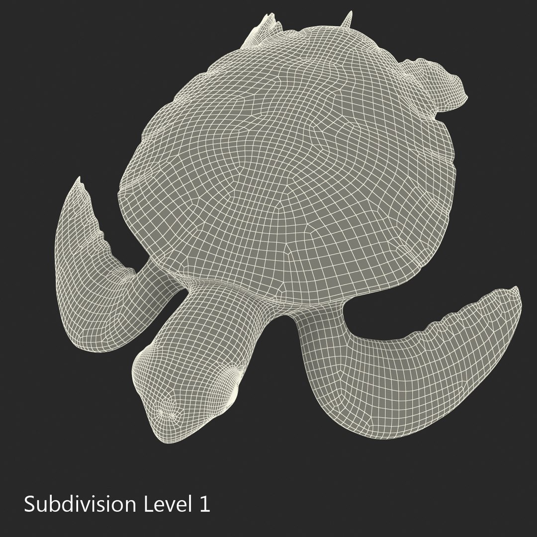 3d sea turtle pose 2