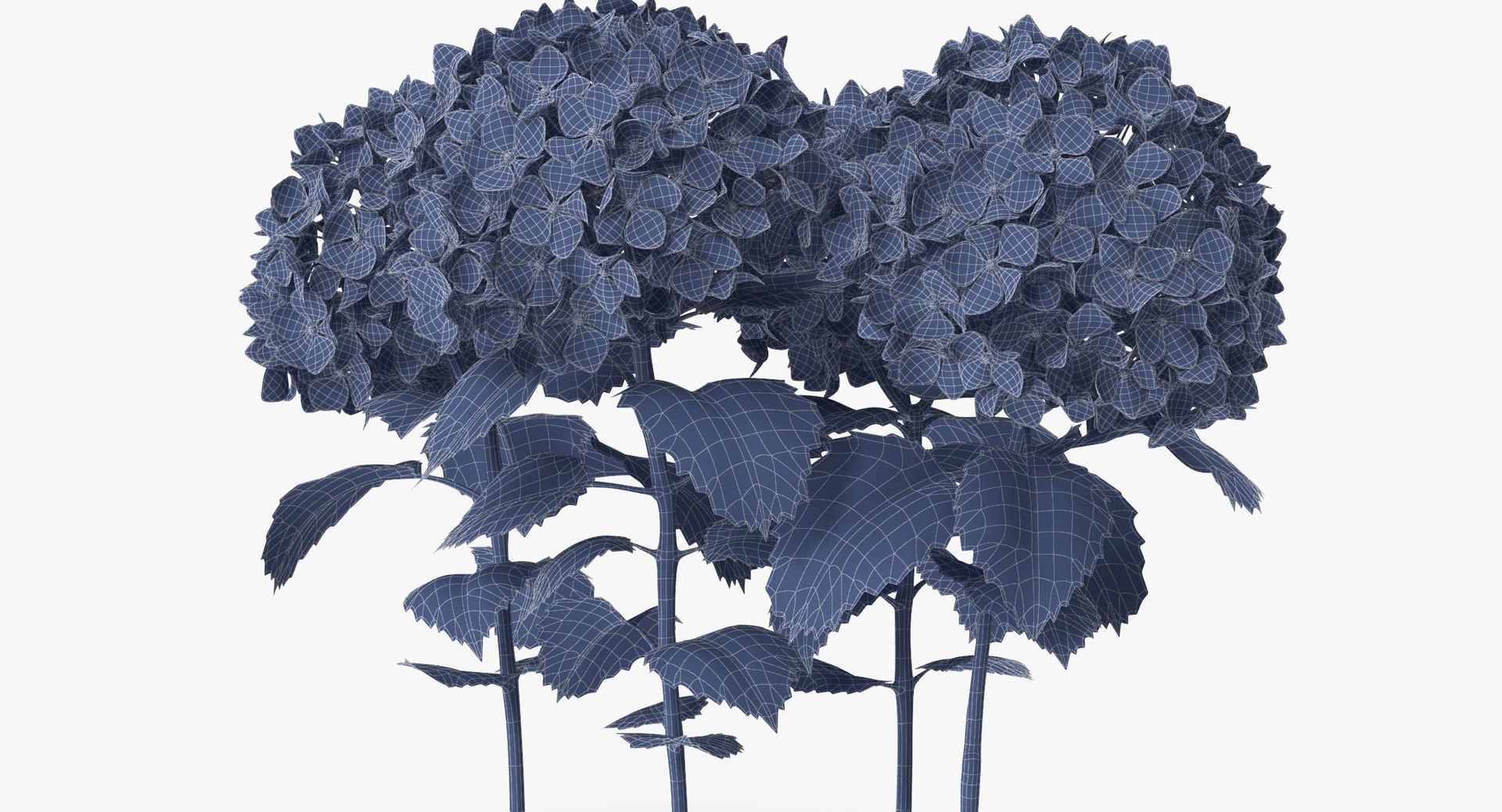 Hydrangeas Natural Group - 3d Max